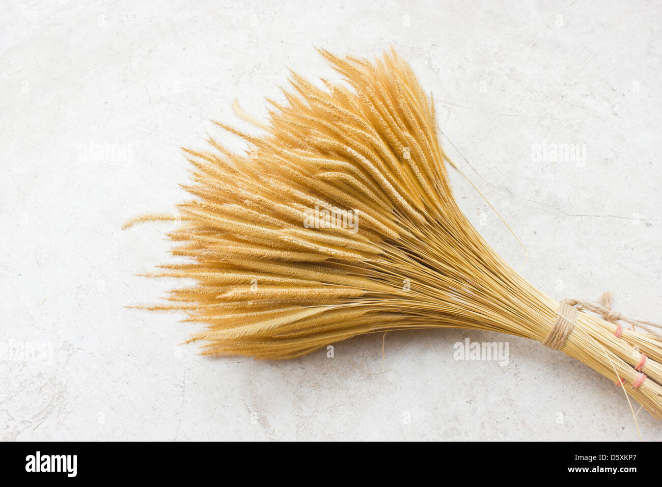 Getreide garbe -Fotos und -Bildmaterial in hoher Auflösung – Alamy