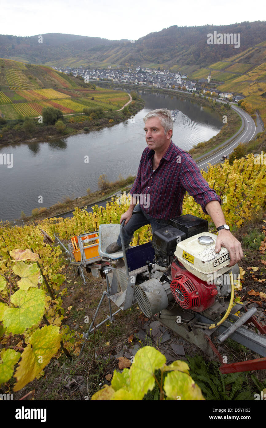 Bremm mit dem steilsten weinberg europas -Fotos und -Bildmaterial in ...