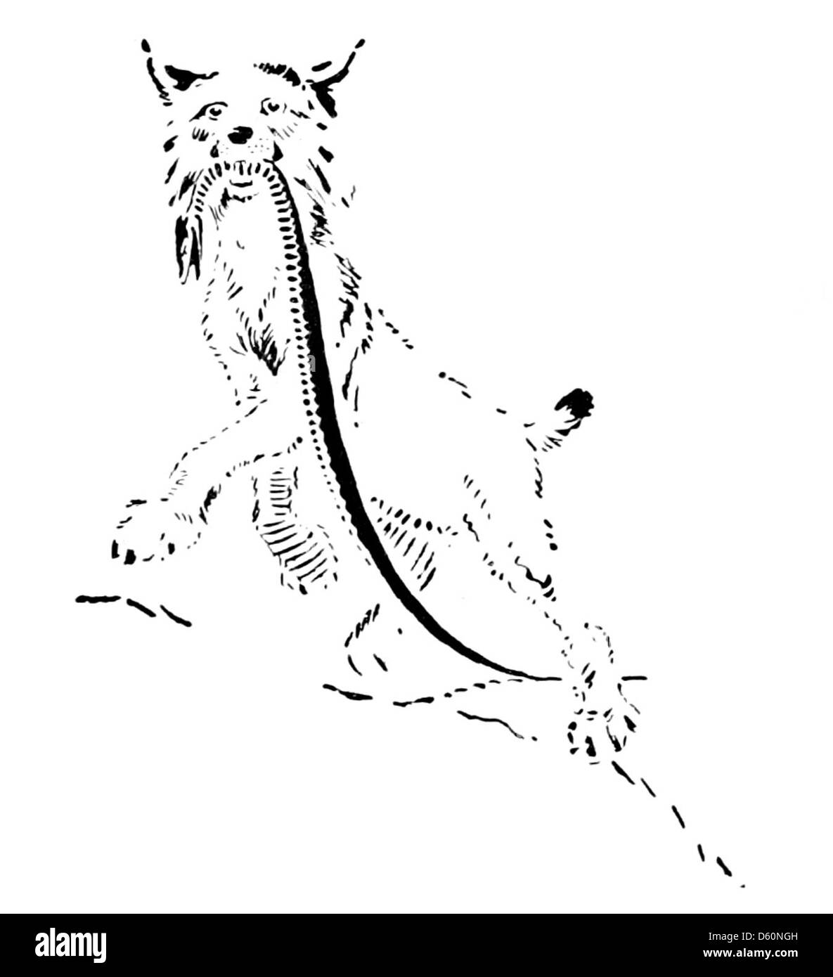 Dieses Foto zeigt einen Luchs, ein Tier, das für seine Stärke und ...