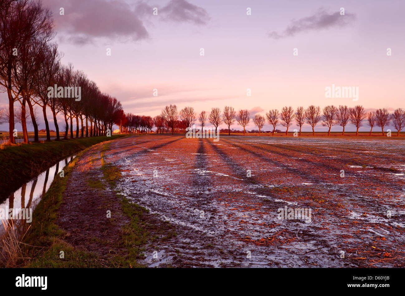 Lange baumschatten -Fotos und -Bildmaterial in hoher Auflösung – Alamy