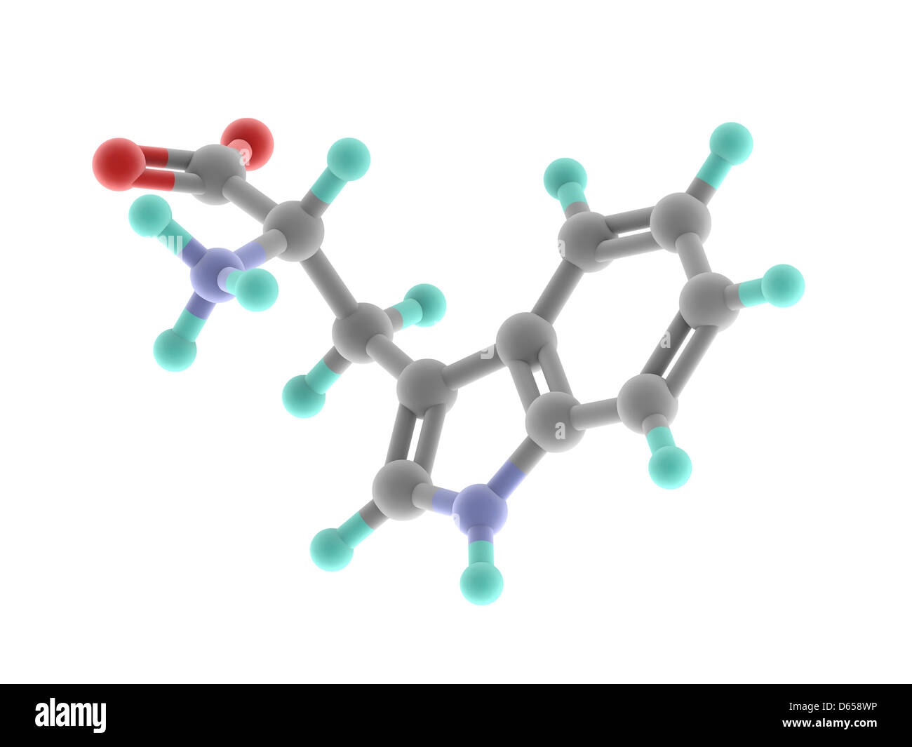 Tryptophan struktur -Fotos und -Bildmaterial in hoher Auflösung – Alamy