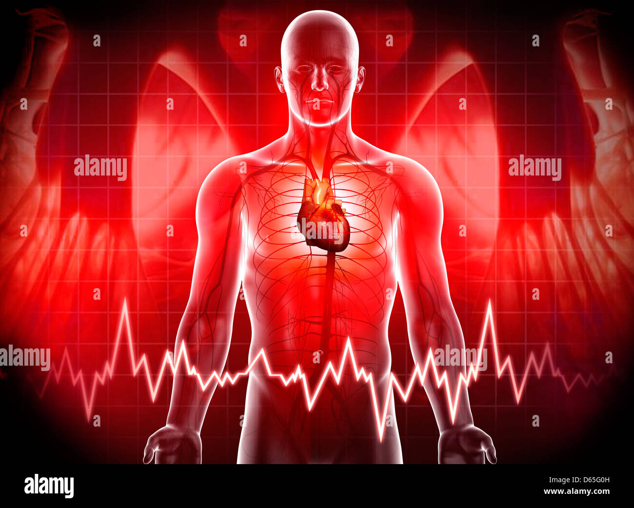 Normal ecg red background heartbeat -Fotos und -Bildmaterial in hoher ...