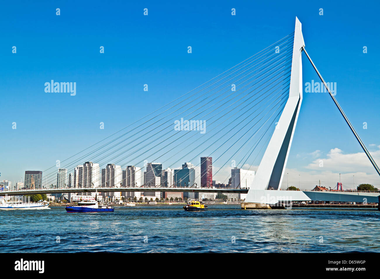 Erasmusbrücke in Rotterdam Hafen der Niederlande Stockfotografie - Alamy