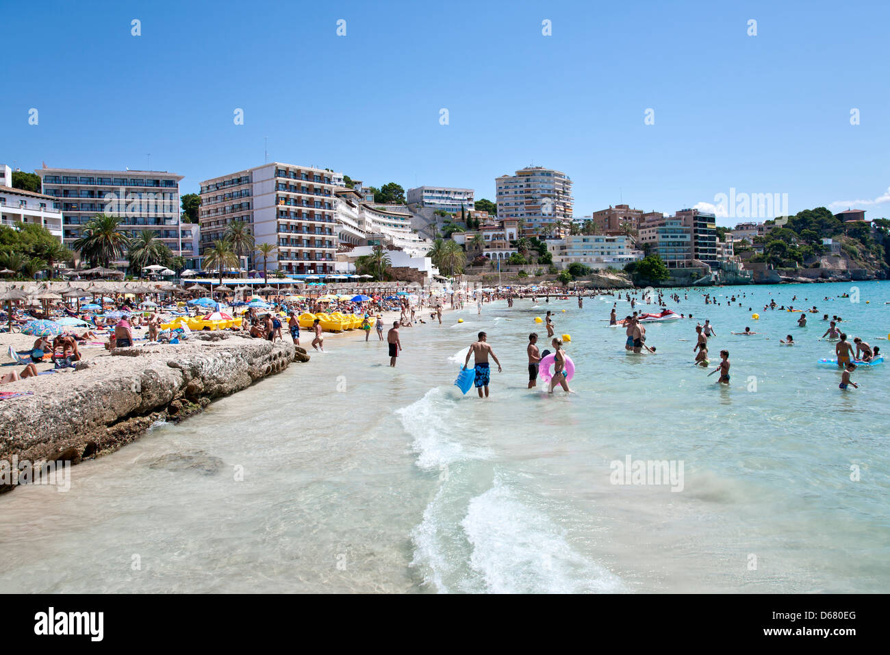 Cala major -Fotos und -Bildmaterial in hoher Auflösung – Alamy