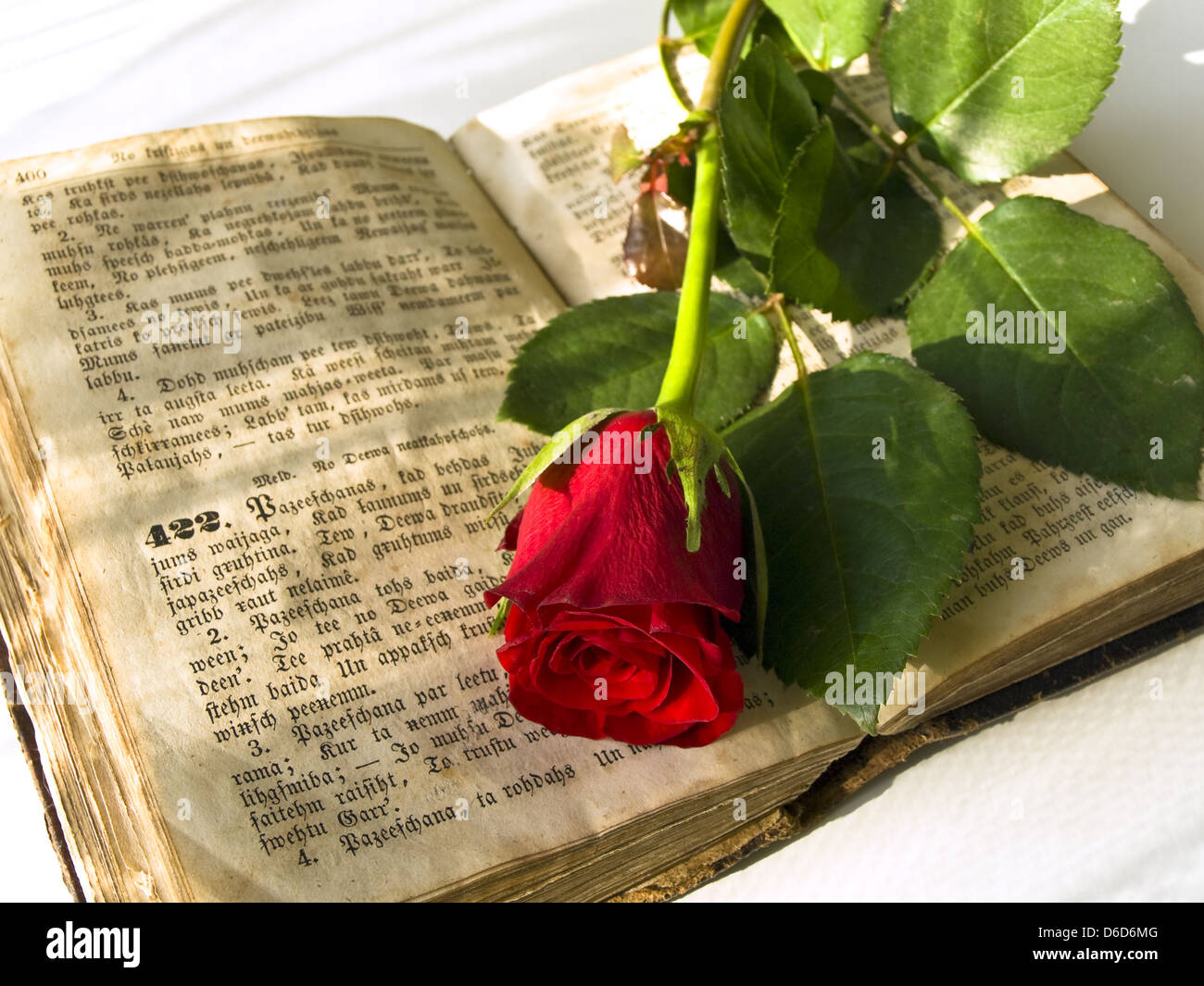 Offenes buch mit roter rose -Fotos und -Bildmaterial in hoher Auflösung ...