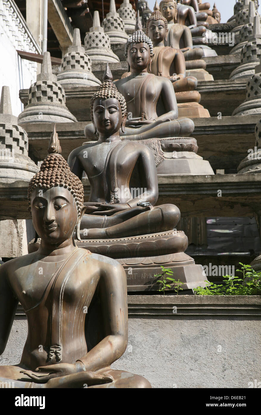 Statuen des Buddha im Lotussitz, Gangaramaya buddhistischen Tempel ...