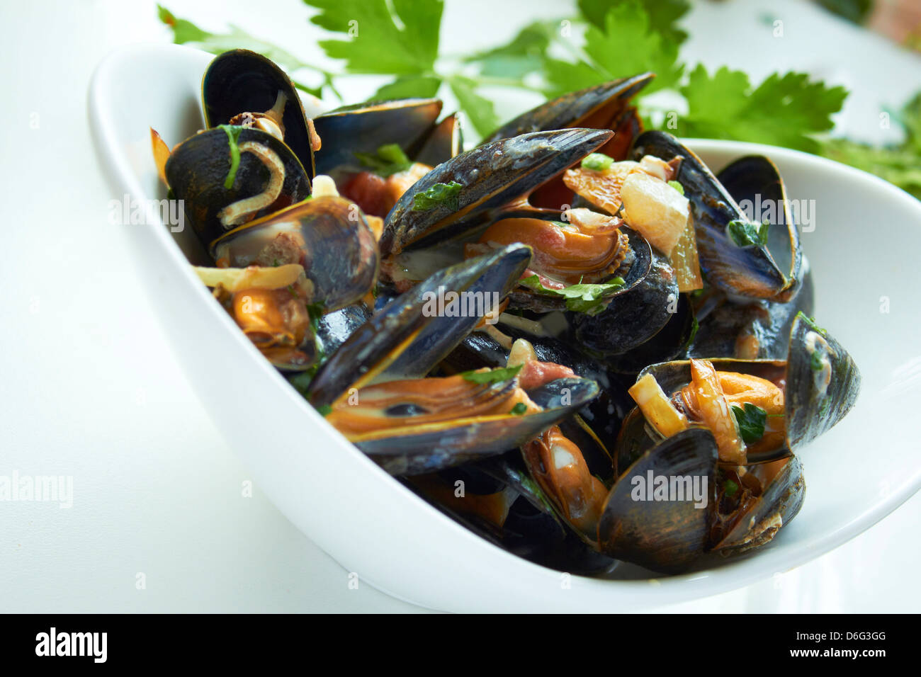 Gedämpfte Muscheln Provencal schottische Miesmuscheln mit Rezept ...