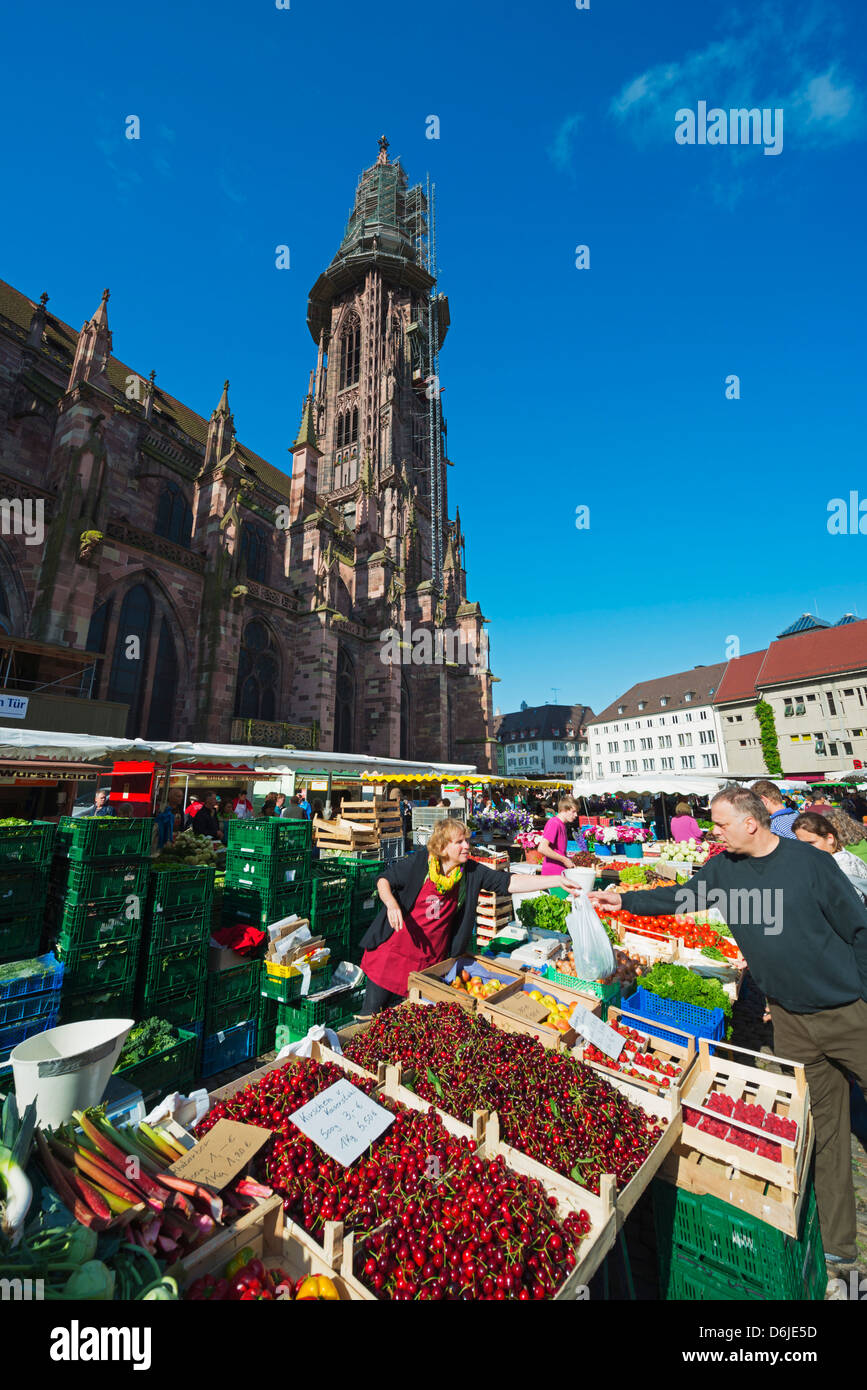 Freiburg cathedral market -Fotos und -Bildmaterial in hoher Auflösung ...