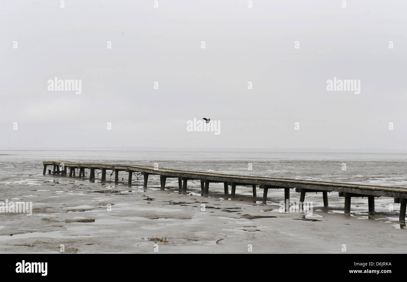 Dangast strand -Fotos und -Bildmaterial in hoher Auflösung – Alamy
