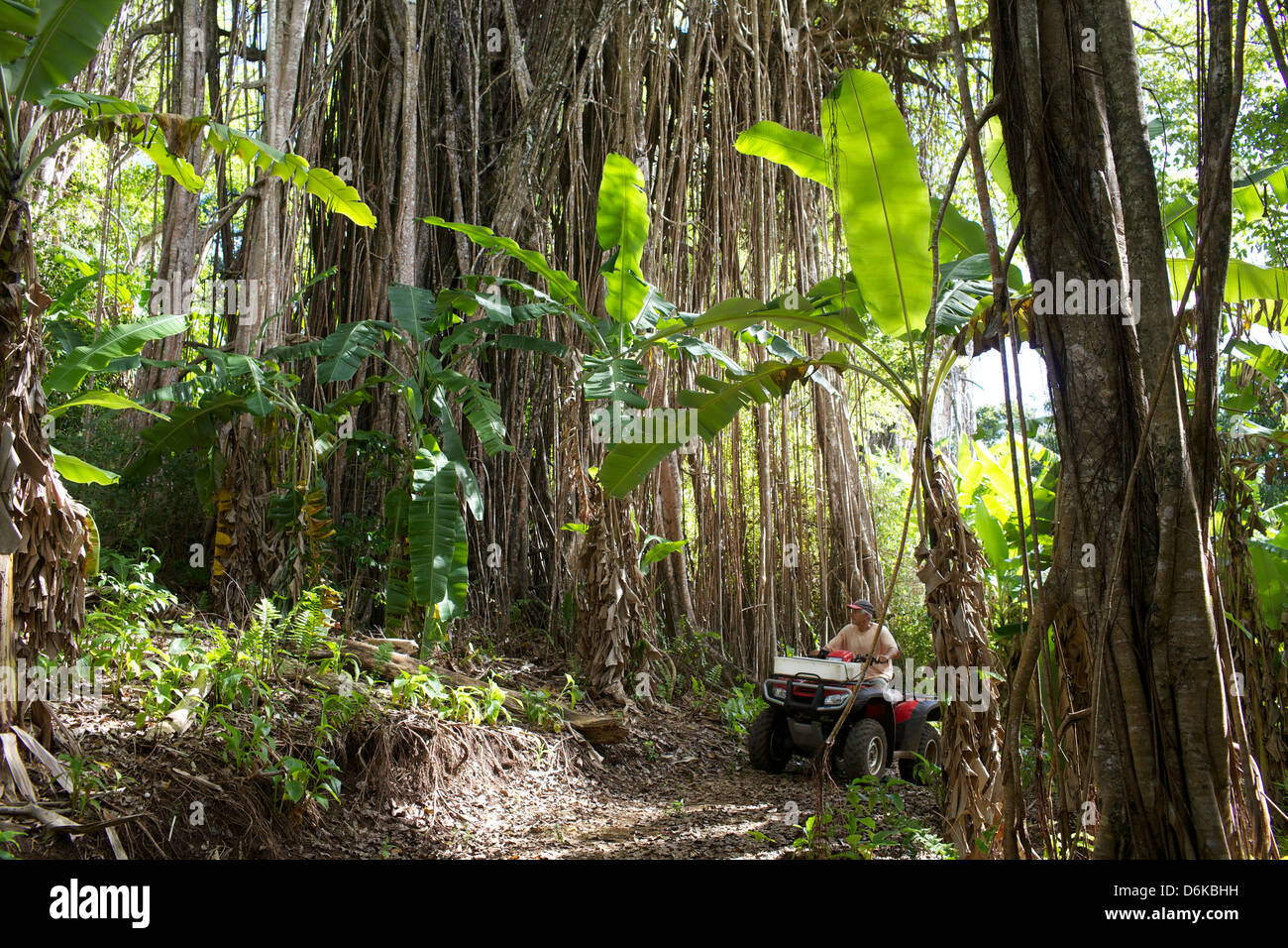 Pitcairn island -Fotos und -Bildmaterial in hoher Auflösung – Alamy