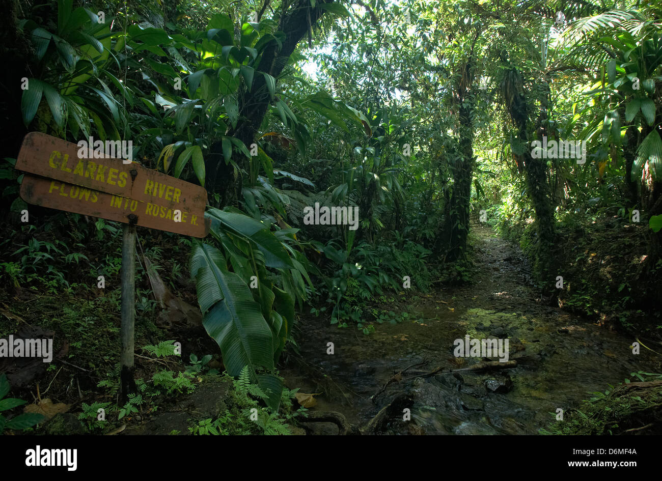 Laudat, Dominica, kreuzt Clarke Flusspfad Boeri Lake im Morne Trois ...