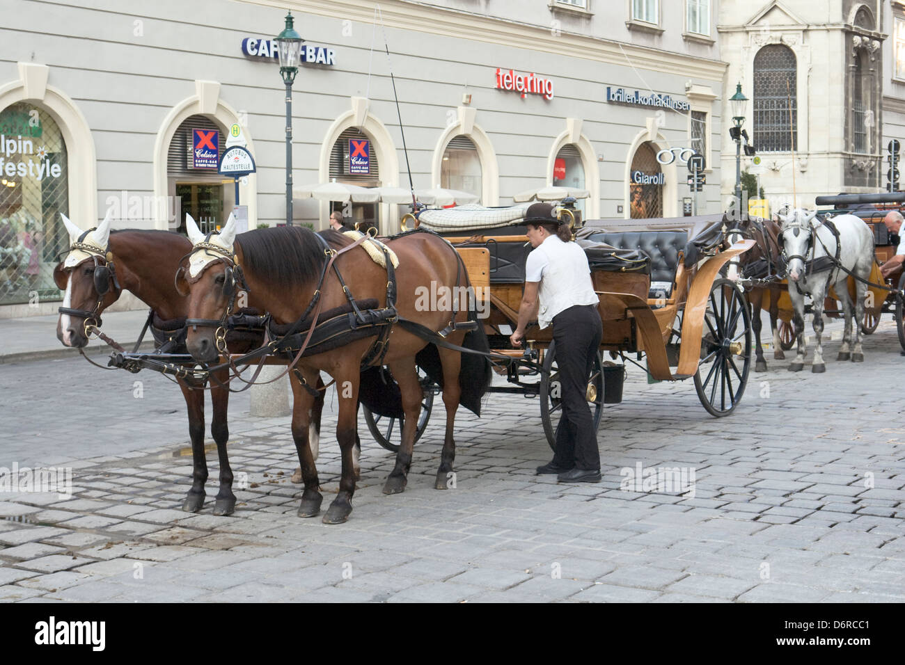 Fiaker driver -Fotos und -Bildmaterial in hoher Auflösung – Alamy