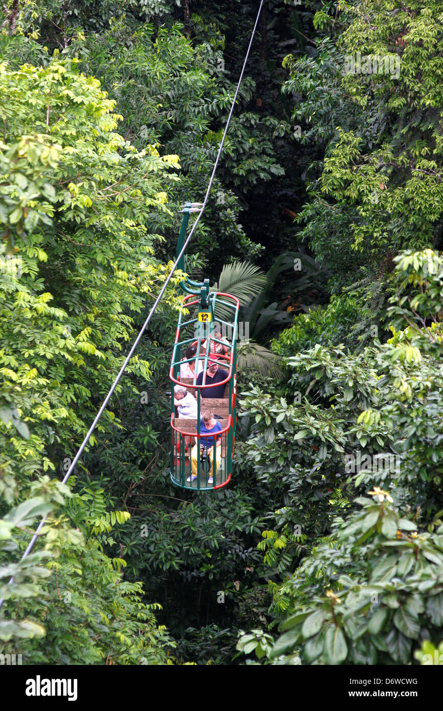Karibik, St. Lucia, Rainforest Aerial Tram und Sky Trek Stockfotografie ...