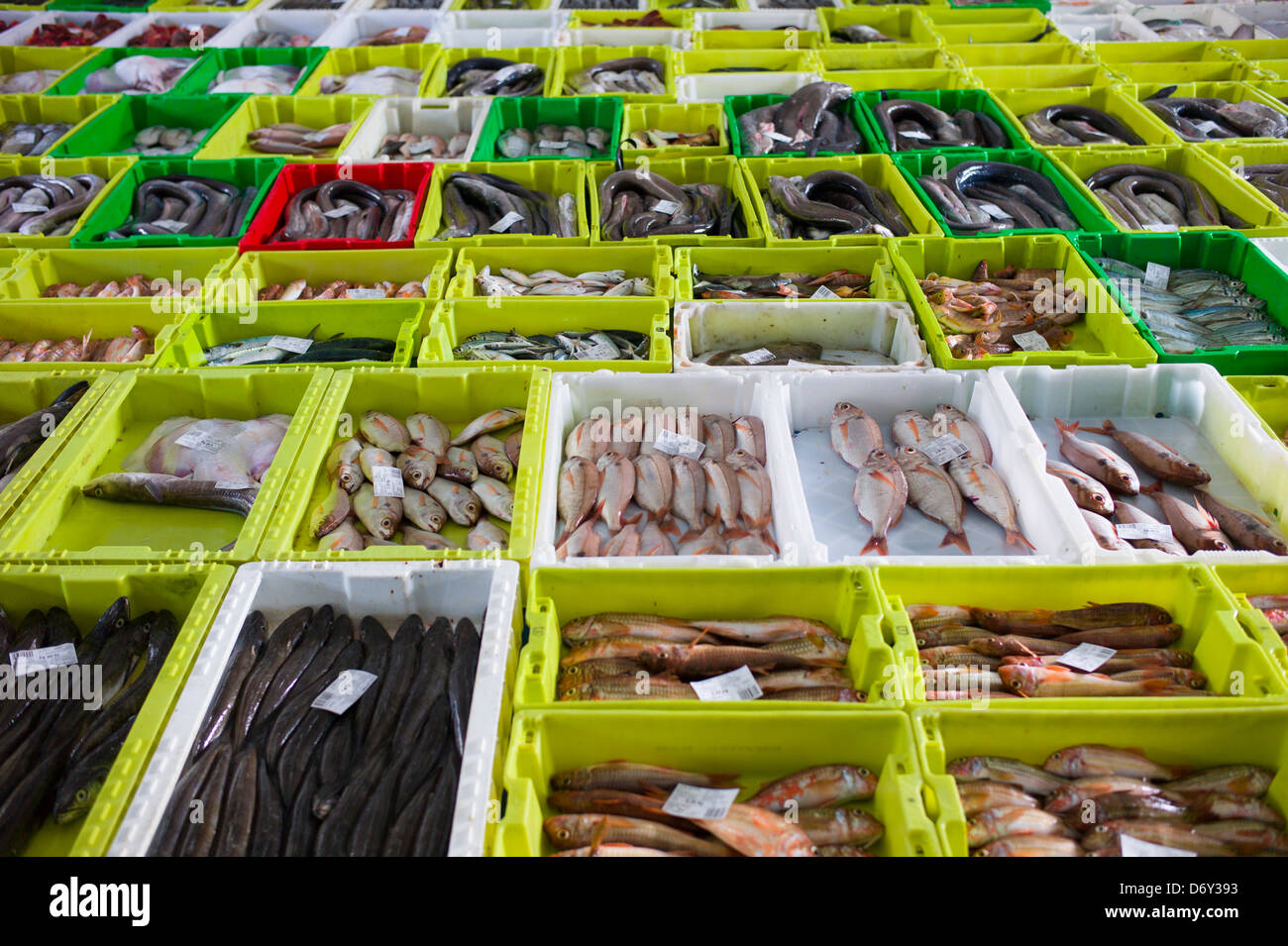 Fisch in kisten -Fotos und -Bildmaterial in hoher Auflösung – Alamy