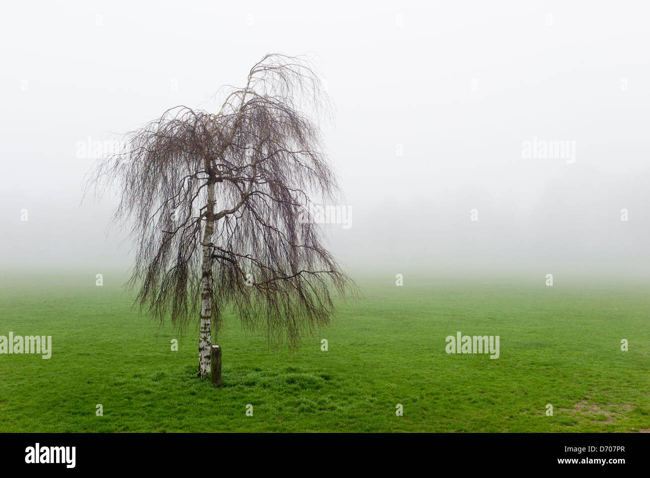 Neuer brighton park -Fotos und -Bildmaterial in hoher Auflösung – Alamy