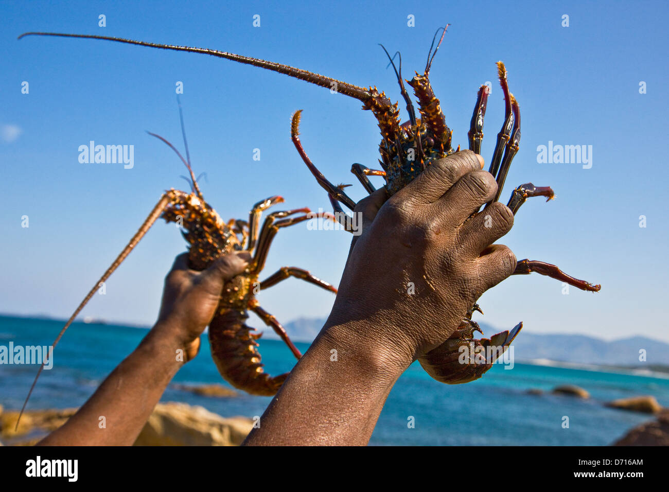 Madagascar seafood -Fotos und -Bildmaterial in hoher Auflösung – Alamy