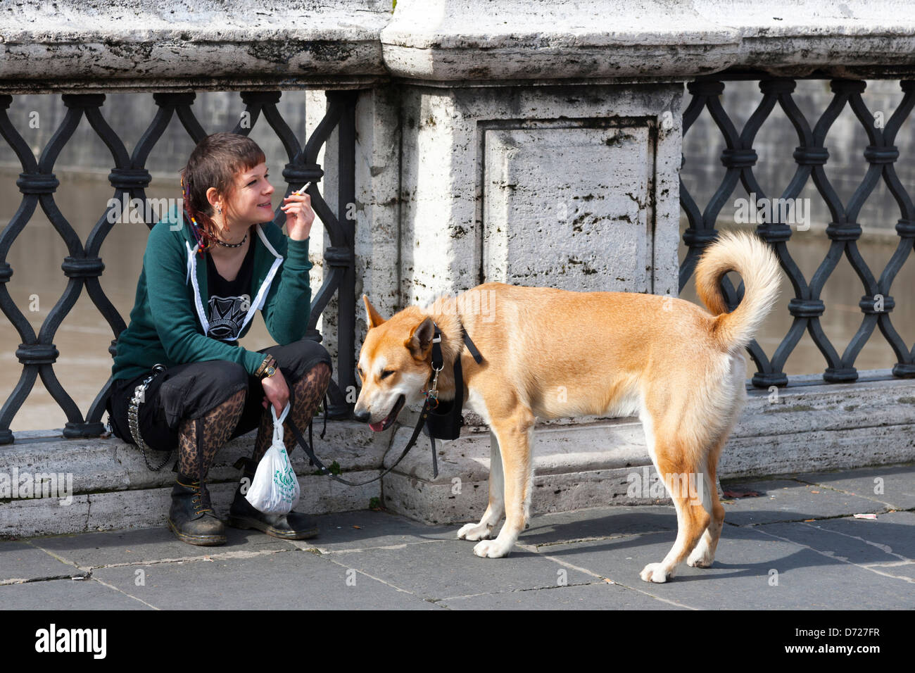 Der rauchende hund -Fotos und -Bildmaterial in hoher Auflösung – Alamy
