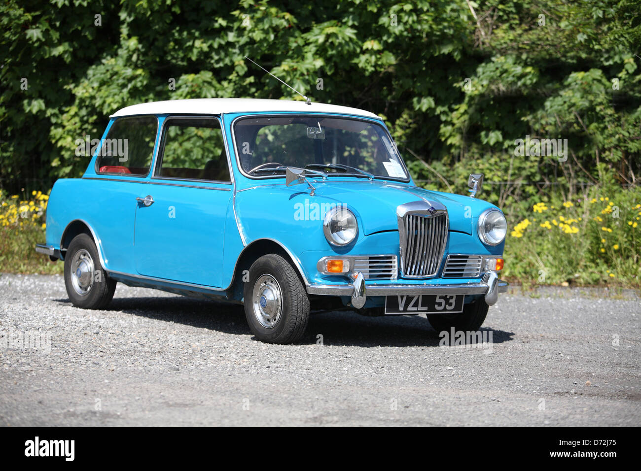 Riley elf -Fotos und -Bildmaterial in hoher Auflösung – Alamy