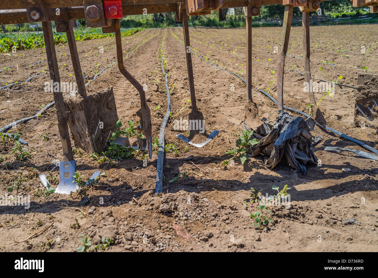 Ein Pflug verwendet auf einem Feld steht vor der frisch Gepflügtes Land ...