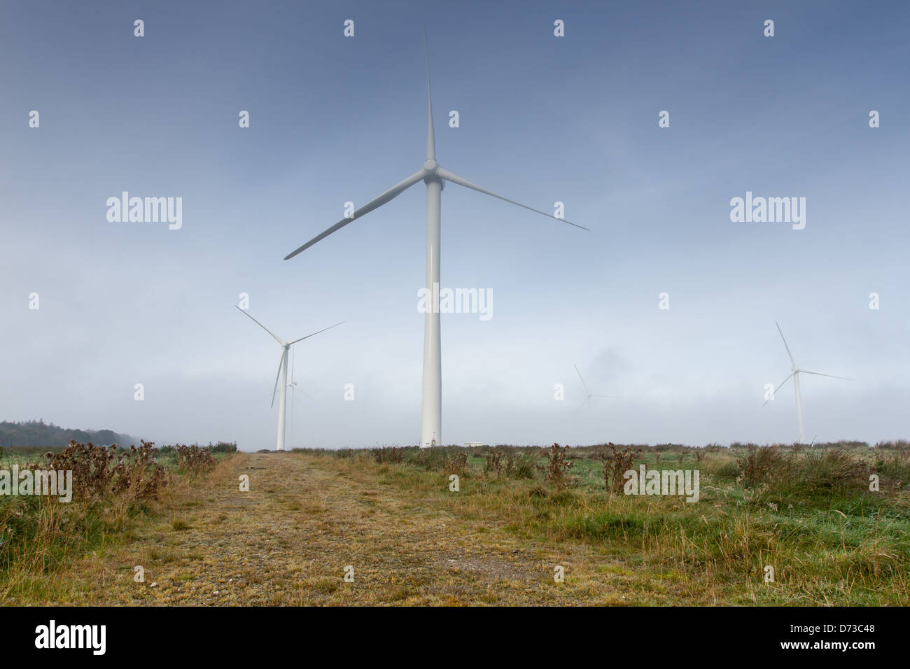 Penny farm -Fotos und -Bildmaterial in hoher Auflösung – Alamy