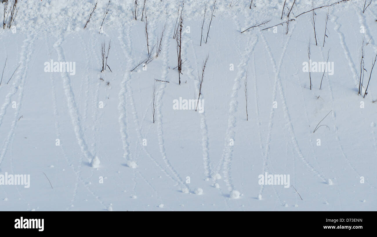 In der stadt tromso -Fotos und -Bildmaterial in hoher Auflösung – Alamy In der stadt tromso -Fotos und -Bildmaterial in hoher Auflösung – Alamy