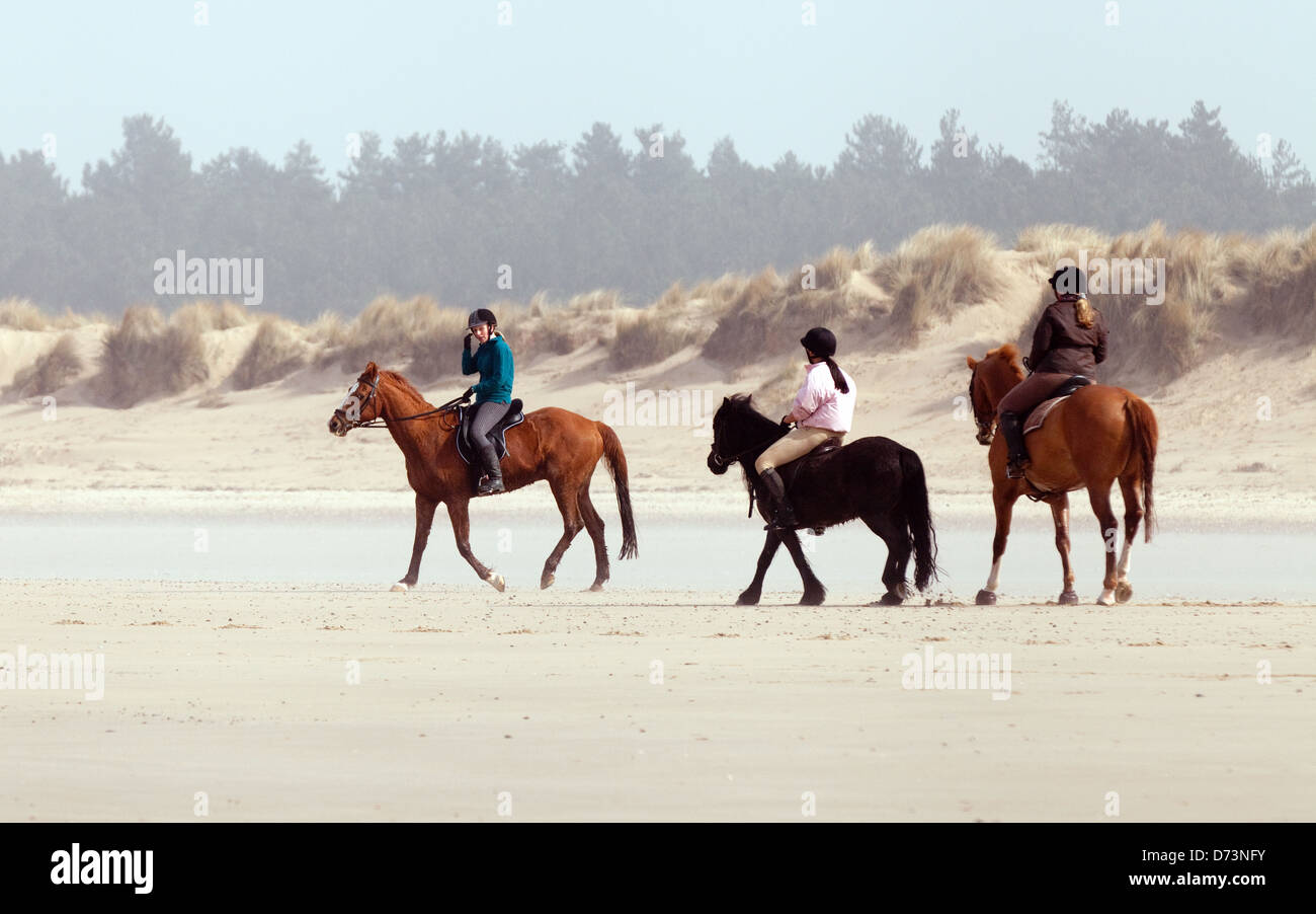 Strand und pferde -Fotos und -Bildmaterial in hoher Auflösung – Alamy