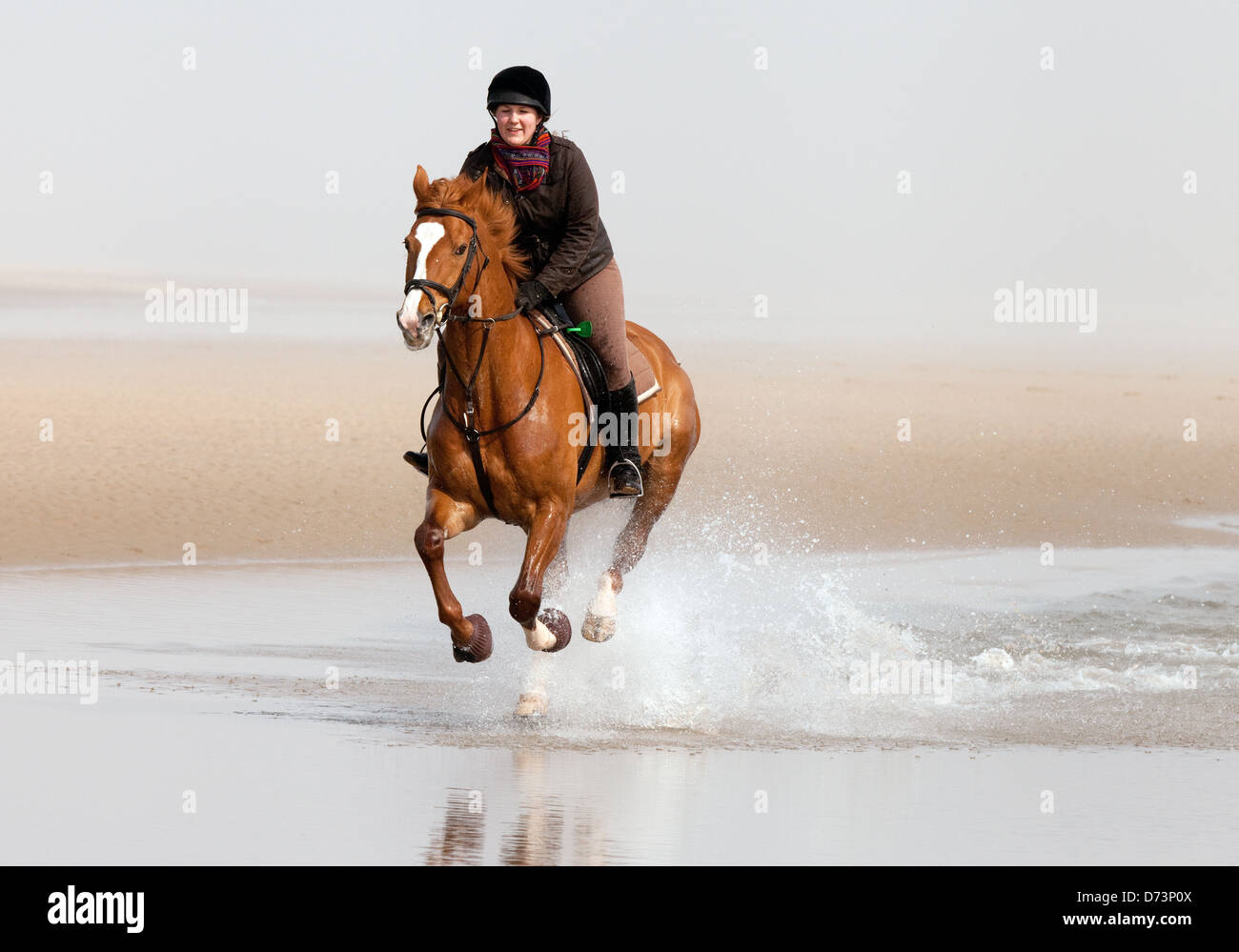 Girl riding horse beach -Fotos und -Bildmaterial in hoher Auflösung – Alamy