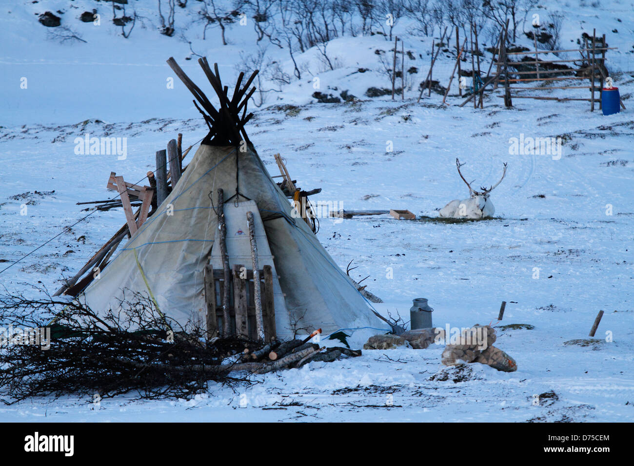 Sami People Norway Stockfotos und -bilder Kaufen - Alamy