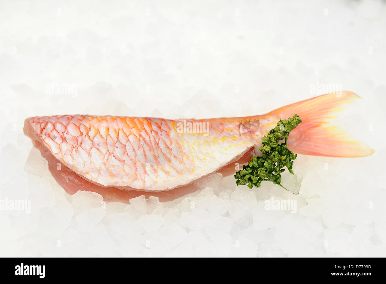 Eine rote Meerbarbe Filet auf einem Bett aus Eis Stockfotografie - Alamy