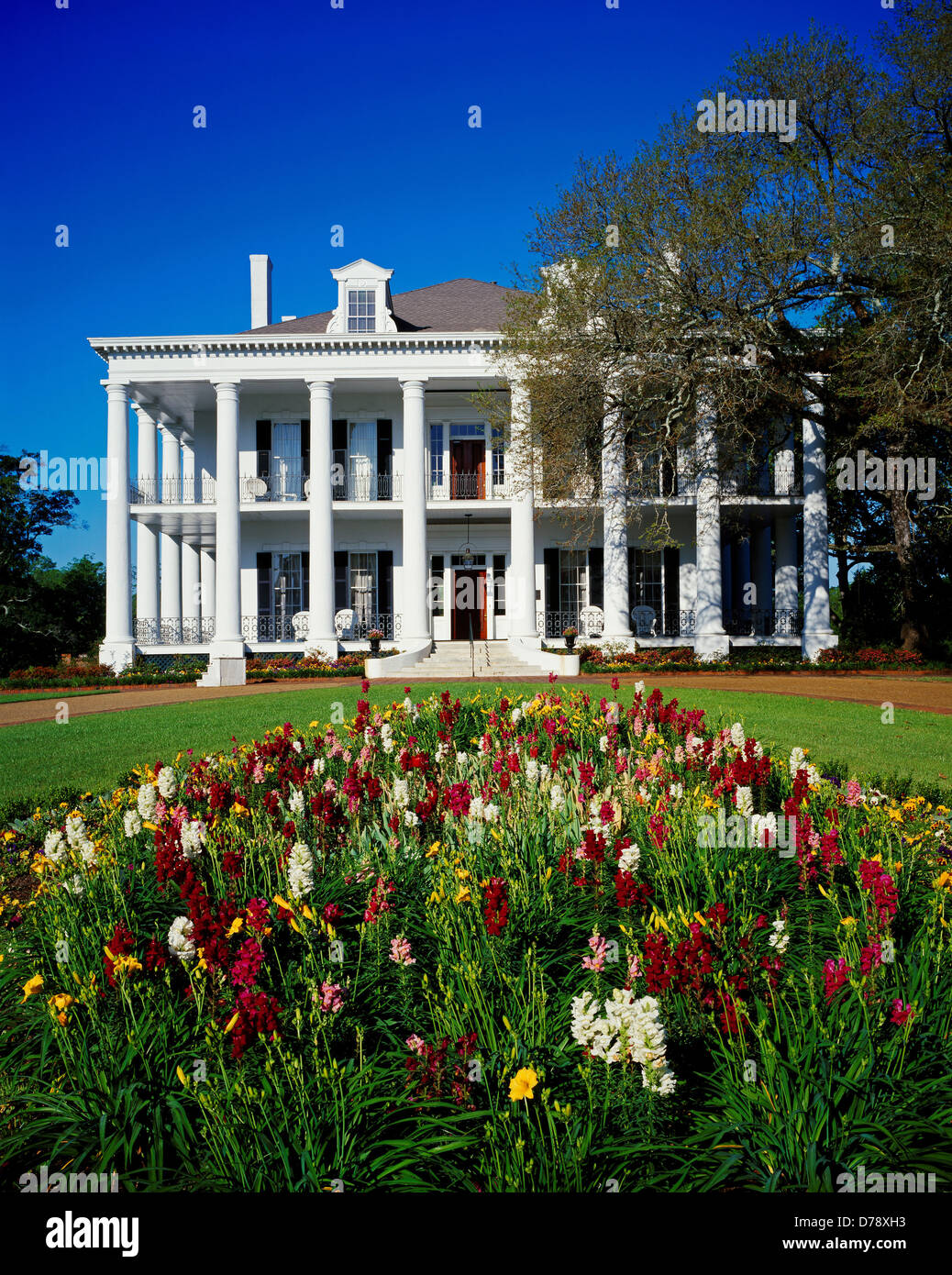 Dunleith antebellum mansion in historic -Fotos und -Bildmaterial in ...