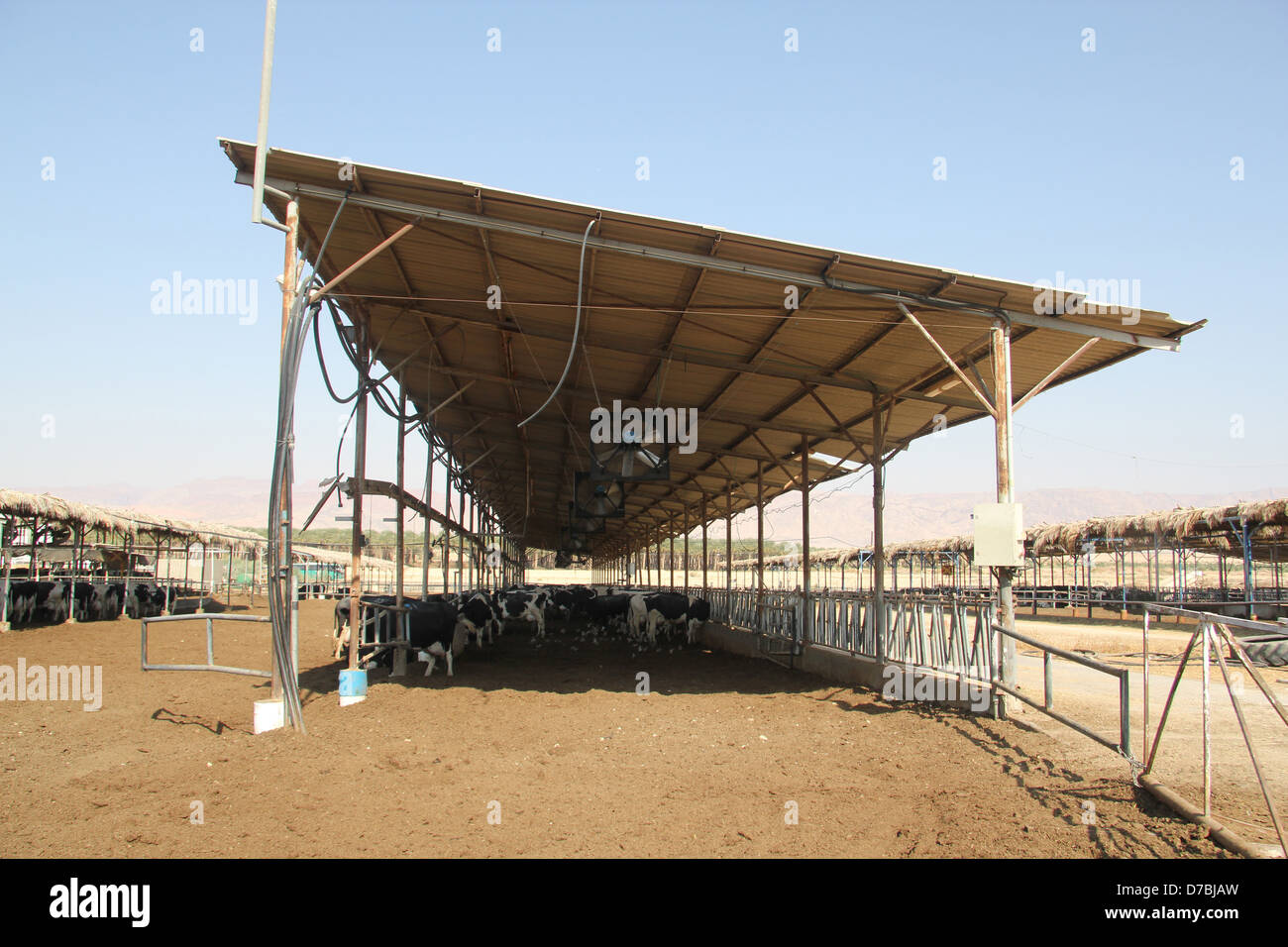 Der Kuhstall Stockfotos und -bilder Kaufen - Alamy