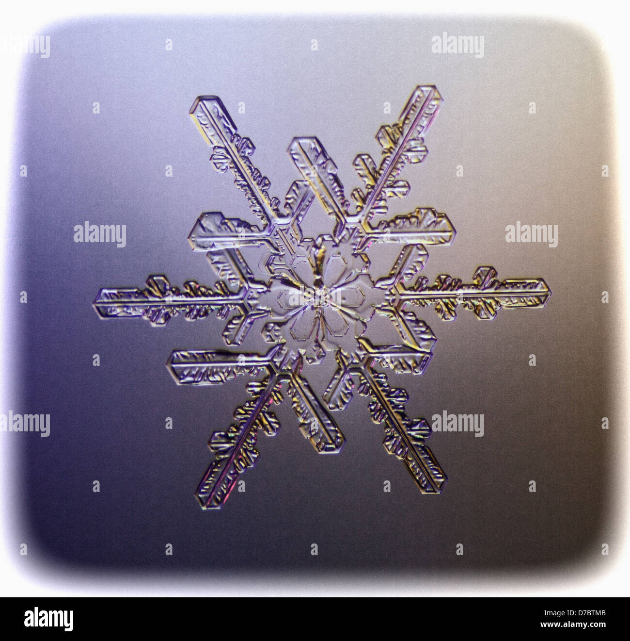 Detail Snowflakes Ice Crystals Alaska Stockfotos und -bilder Kaufen - Alamy