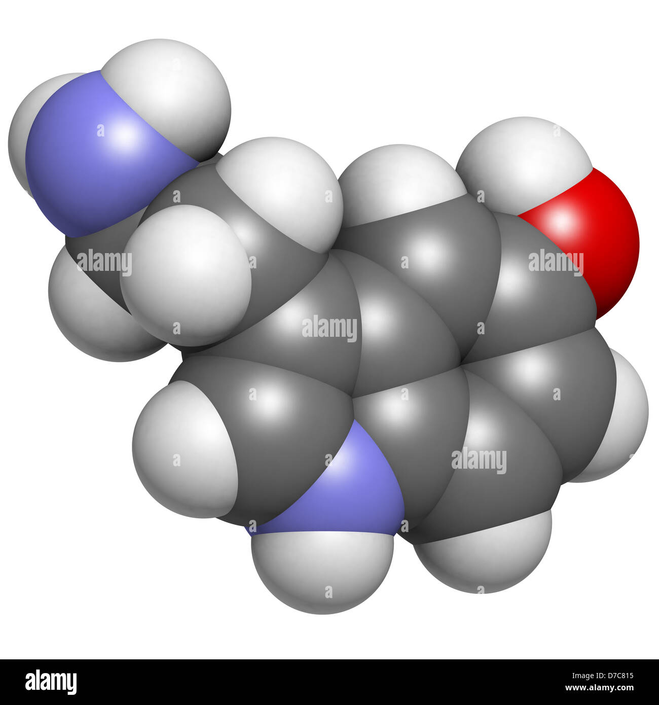 Serotonin Neurotransmitter, Molekülmodell. Serotonin ist auch bekannt ...