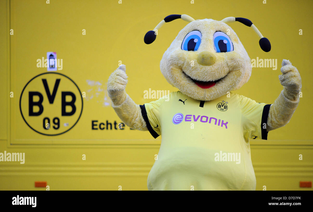 Das Maskottchen der Fußball Bundesligisten Borussia Dortmund (BVB ...