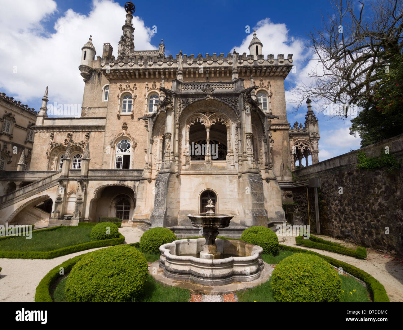 Mata do bussaco -Fotos und -Bildmaterial in hoher Auflösung – Alamy