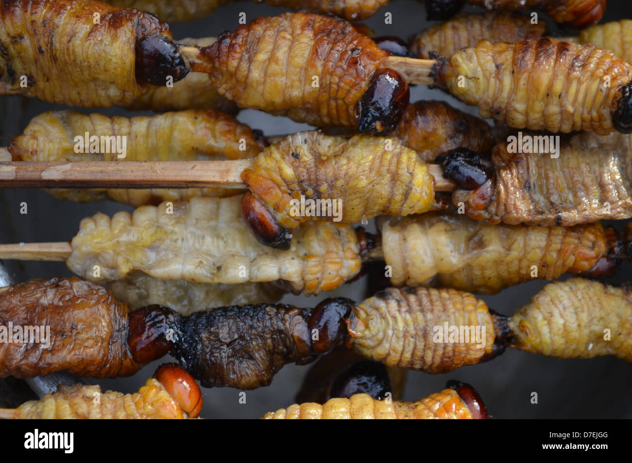 Suri - ein Amazonas Grub, die ernährt sich von Palm Sap, gegrillt und ...