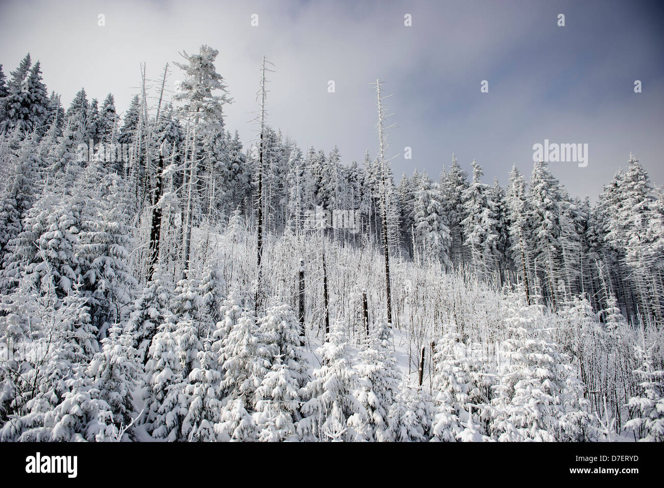 Sklarska poreba -Fotos und -Bildmaterial in hoher Auflösung – Alamy