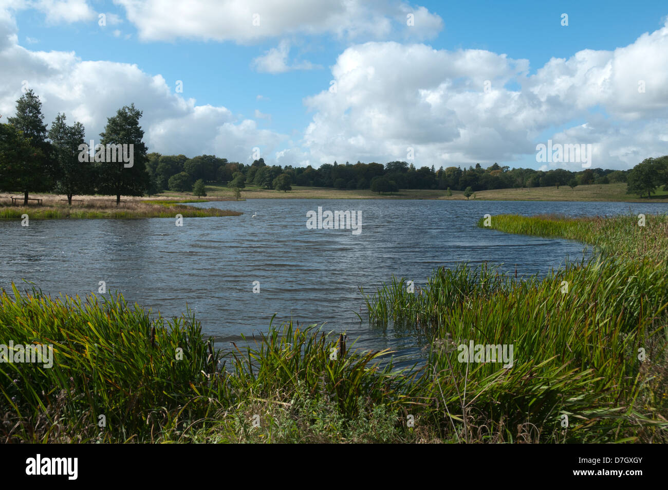 Tatton einfach -Fotos und -Bildmaterial in hoher Auflösung – Alamy