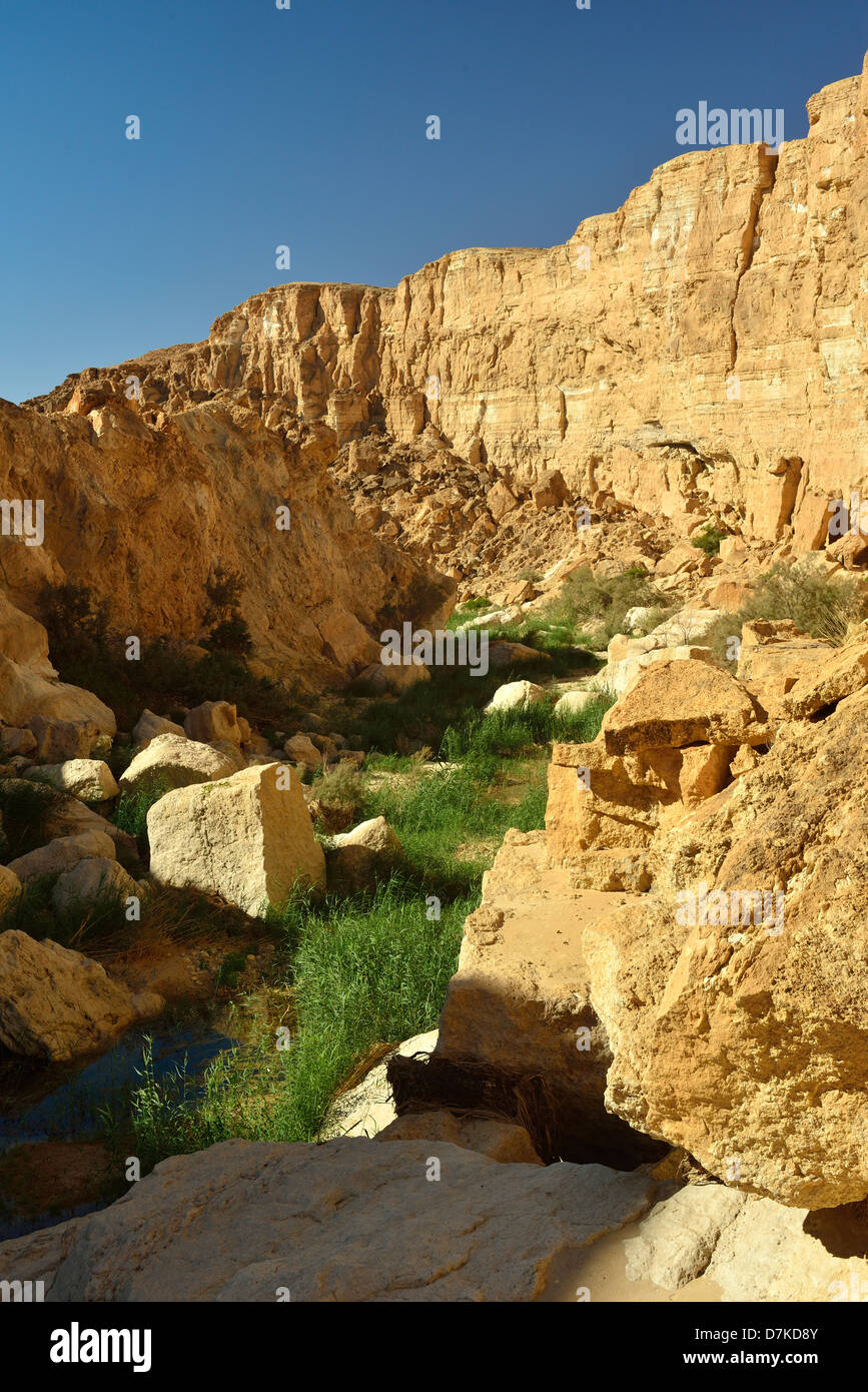 Waterfall Tamerza Oasis Tunisia Stockfotos und -bilder Kaufen - Alamy