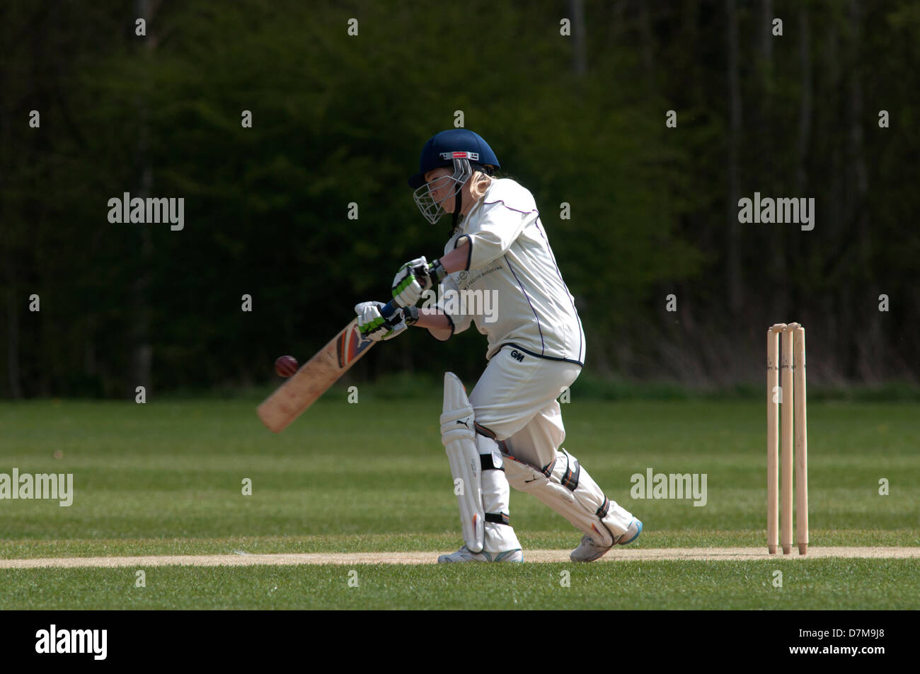 Sport cricket action schlag schlagen -Fotos und -Bildmaterial in hoher ...