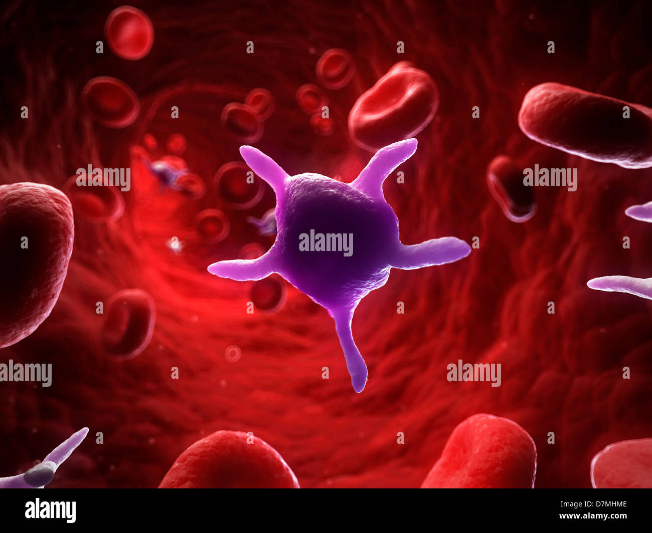 Aktivierte thrombozyten -Fotos und -Bildmaterial in hoher Auflösung – Alamy