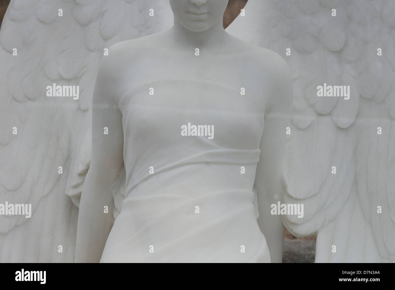 Menschen, Homo sapiens) sind die einzigen lebenden Mitglieder der ...