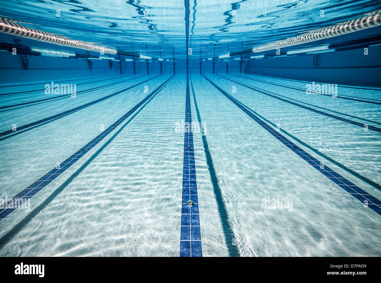 Swimmen pool -Fotos und -Bildmaterial in hoher Auflösung – Alamy