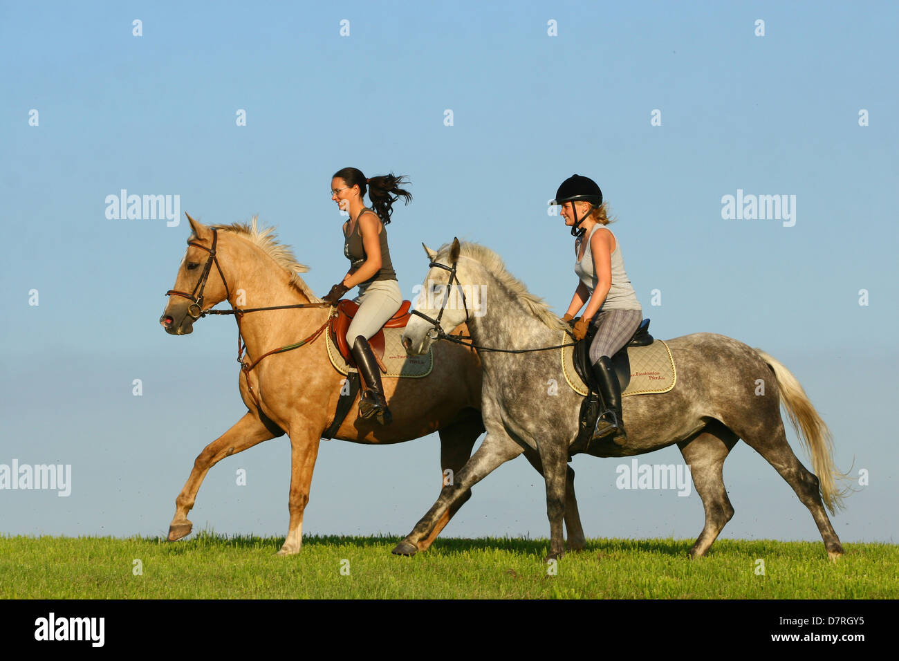 Pferd grau reiten reiter im galopp -Fotos und -Bildmaterial in hoher ...