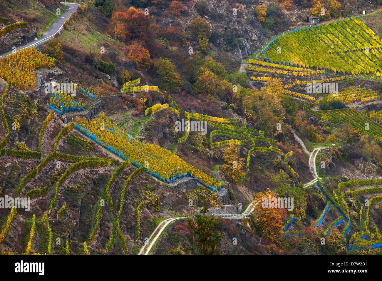 Rhein weinberge -Fotos und -Bildmaterial in hoher Auflösung – Alamy