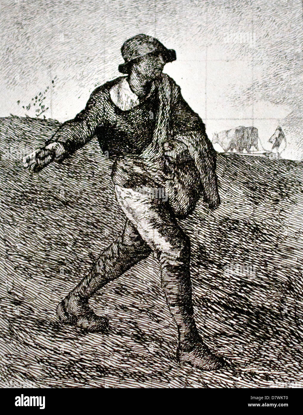 Holländische ratte -Fotos und -Bildmaterial in hoher Auflösung – Alamy