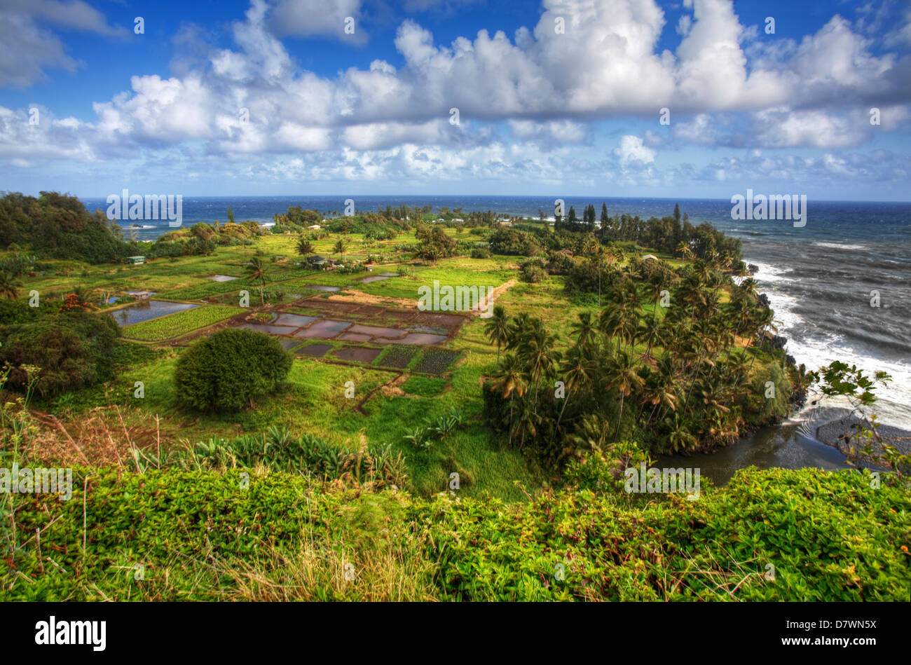 Taro fluss -Fotos und -Bildmaterial in hoher Auflösung – Alamy