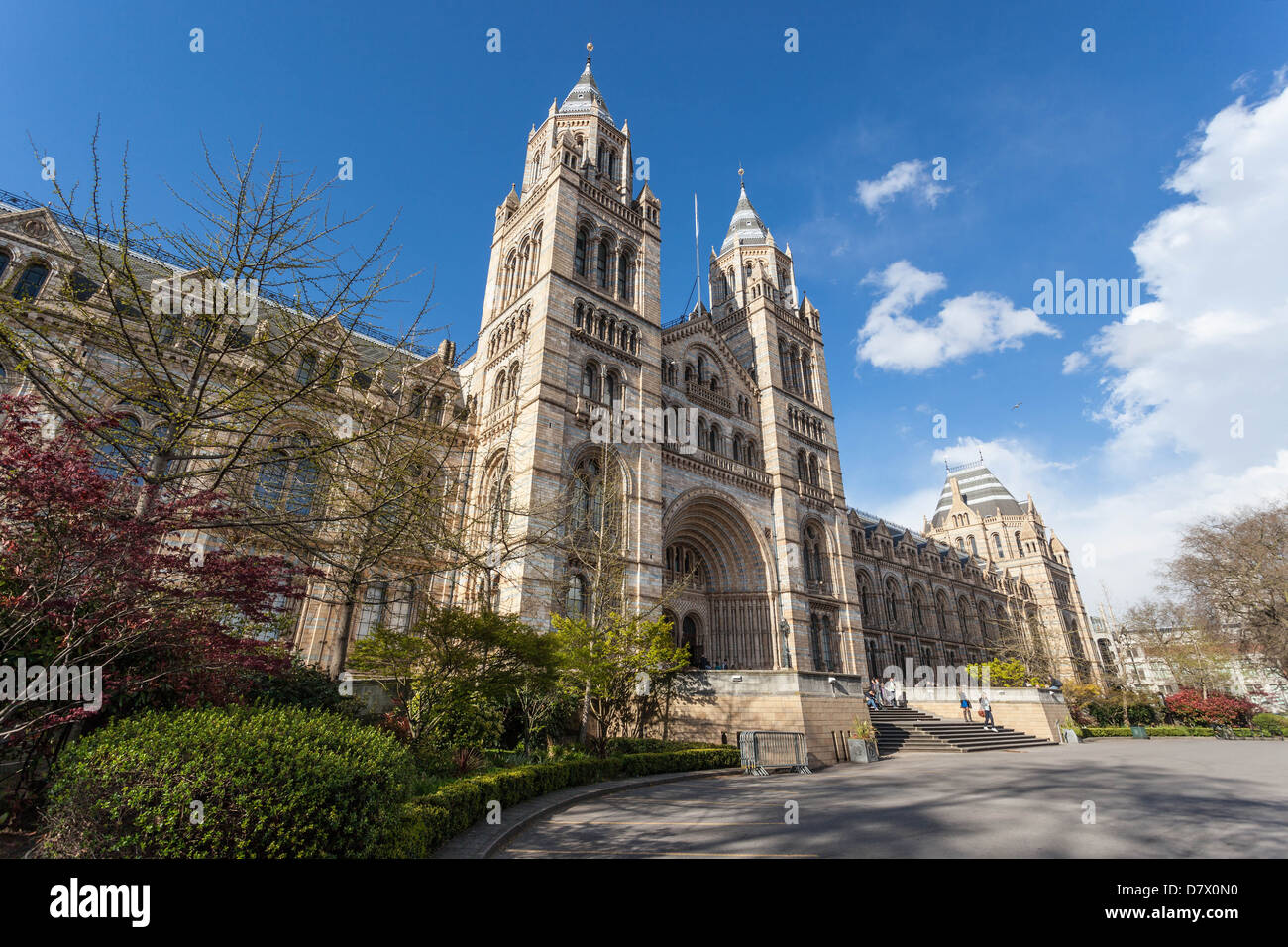 National History Museum in London, England, UK Stockfotografie - Alamy