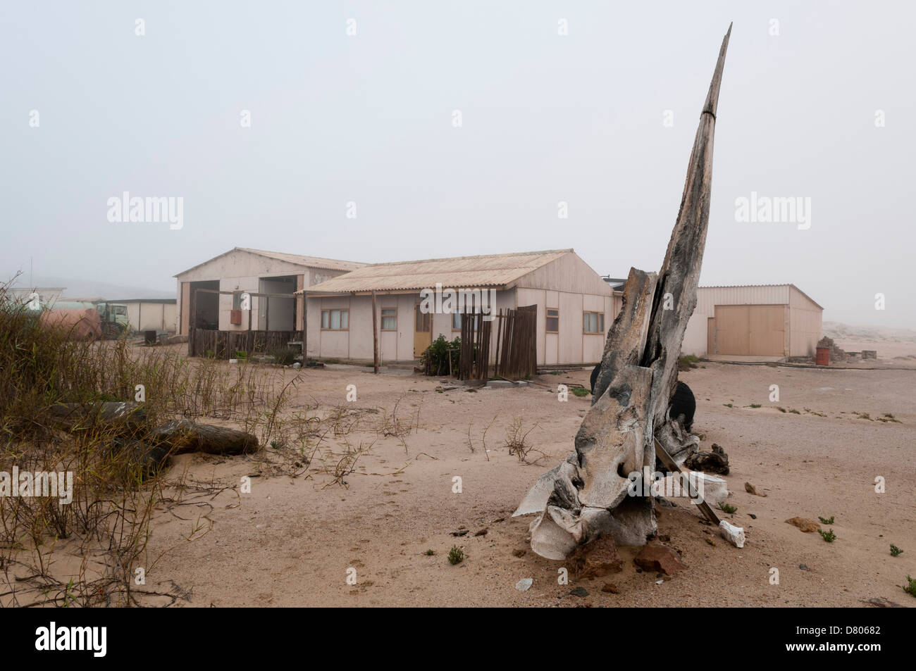 Namib park ranger -Fotos und -Bildmaterial in hoher Auflösung – Alamy