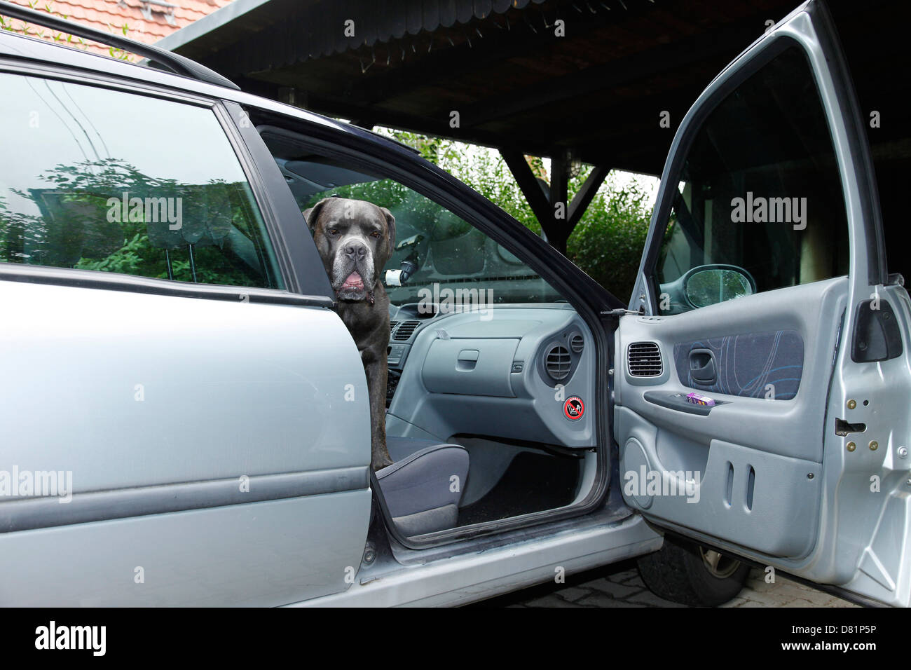 Car corso -Fotos und -Bildmaterial in hoher Auflösung – Alamy